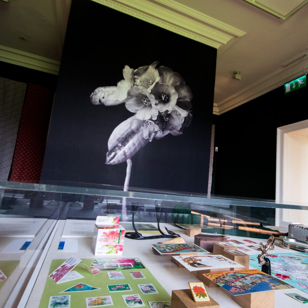 Bespoke Museum Signage, Gallery & Visitor Centre Graphics | Mackinnon ...